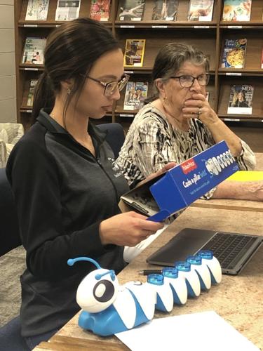 Sheldon library starts card design contest | News | nwestiowa.com