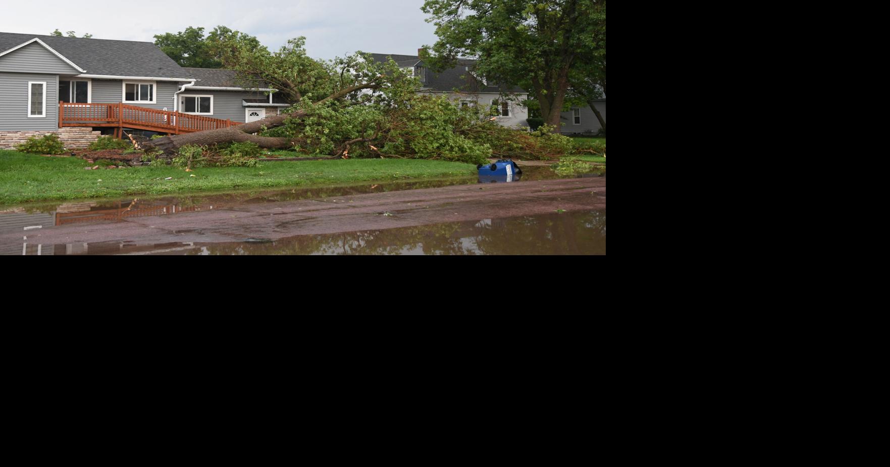 Storm spurs tree assessment workshop | Nwest Iowa Review | nwestiowa.com