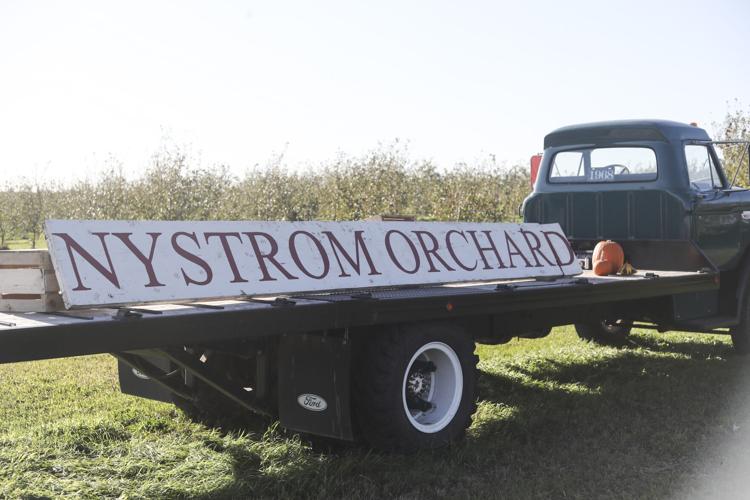 An apple a day | Discover | nwestiowa.com