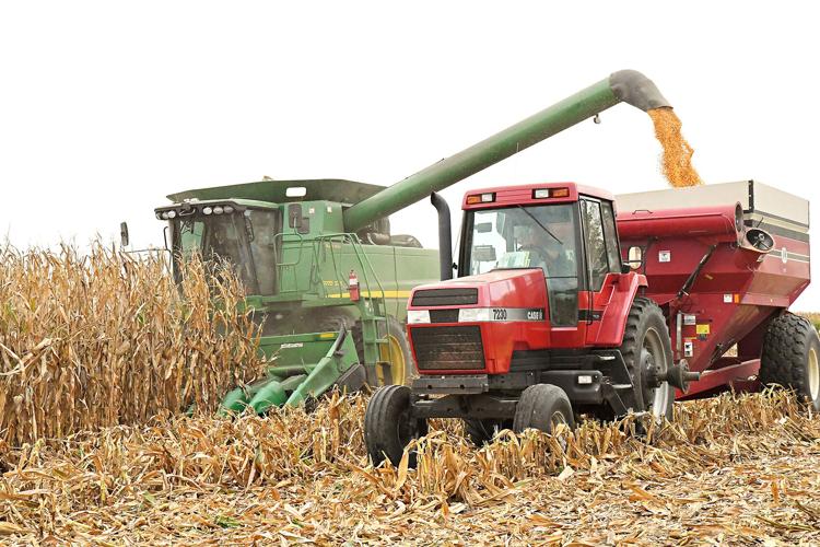 Family, friends help take in harvest | Sioux Center News | nwestiowa.com