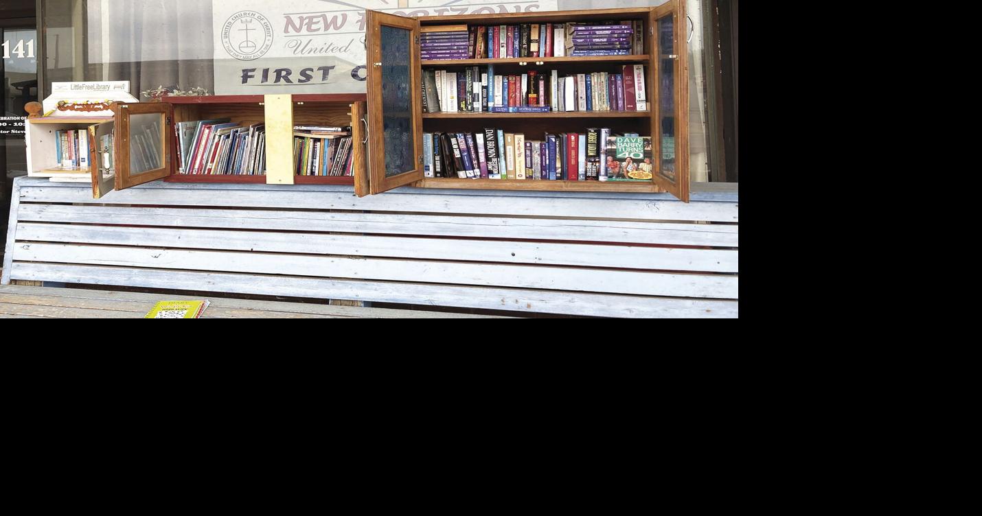 Little Free Libraries a benefit to Akron community | Sentinel ...