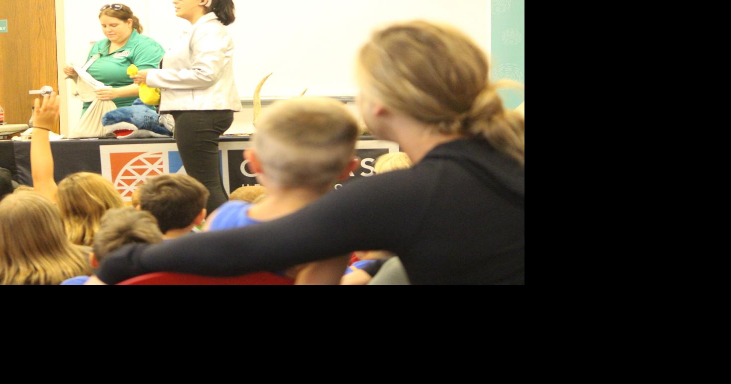 What a zoo at the Hawarden Library | Hawarden Independent/Ireton ...