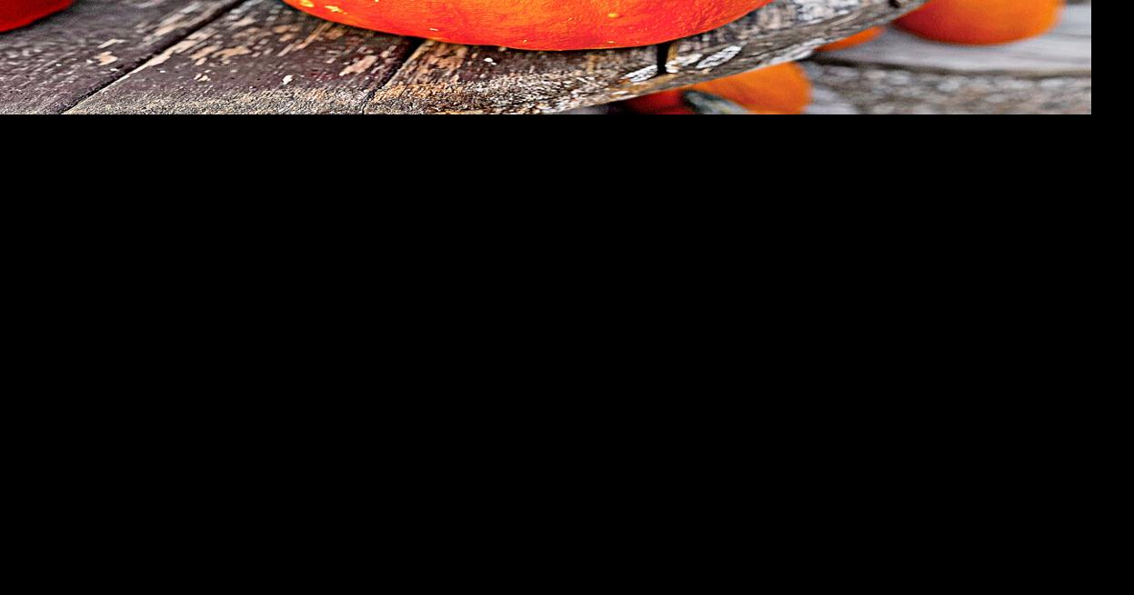 Pumpkin-o’clock | Discover | nwestiowa.com