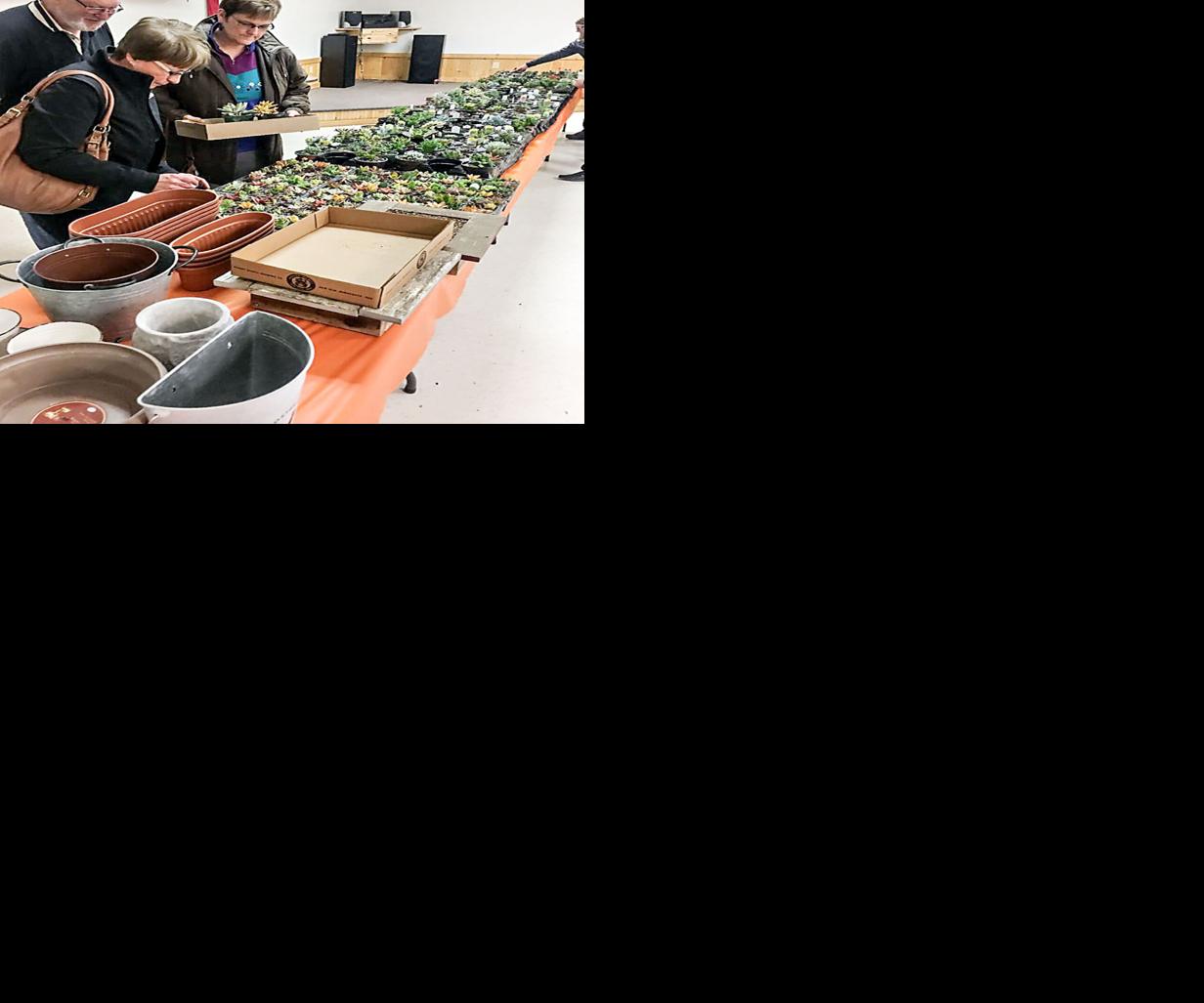 Sip and Plant | Discover | nwestiowa.com