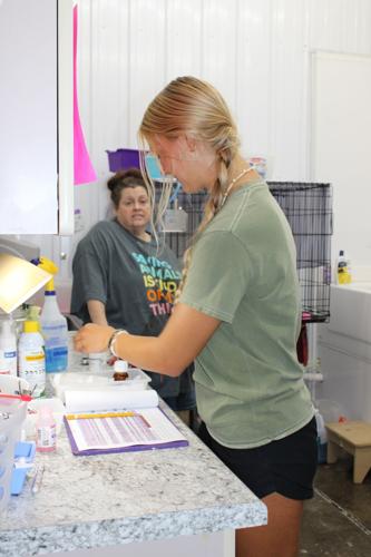 Wet-Nose Rescue needs volunteers to help with influx of abandoned pets ...