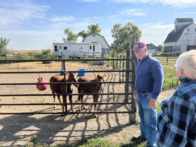 Sheldon man inducted into draft pony hall of fame | News | nwestiowa.com
