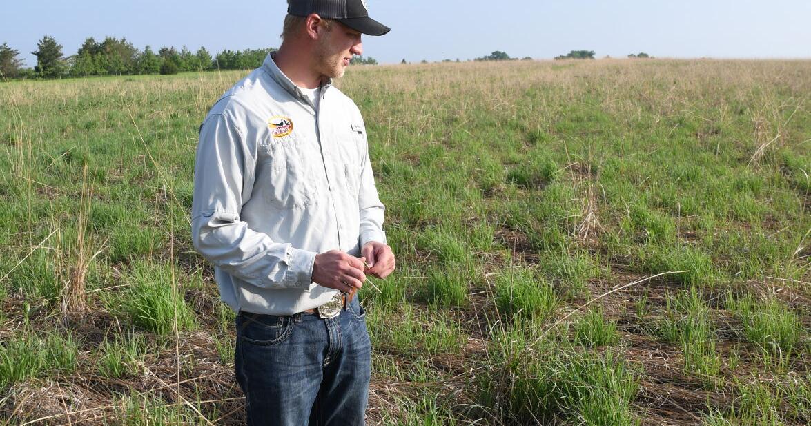 Sundall settles into comfortable job as Farm Bill biologist | News ...