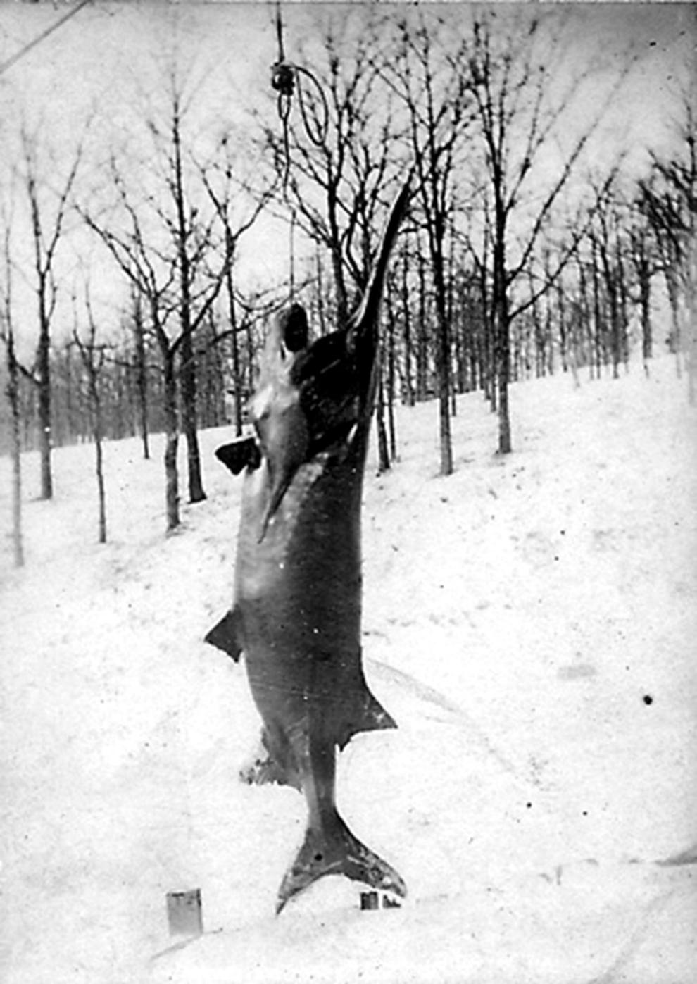 Lake Monsters | Features | nwestiowa.com