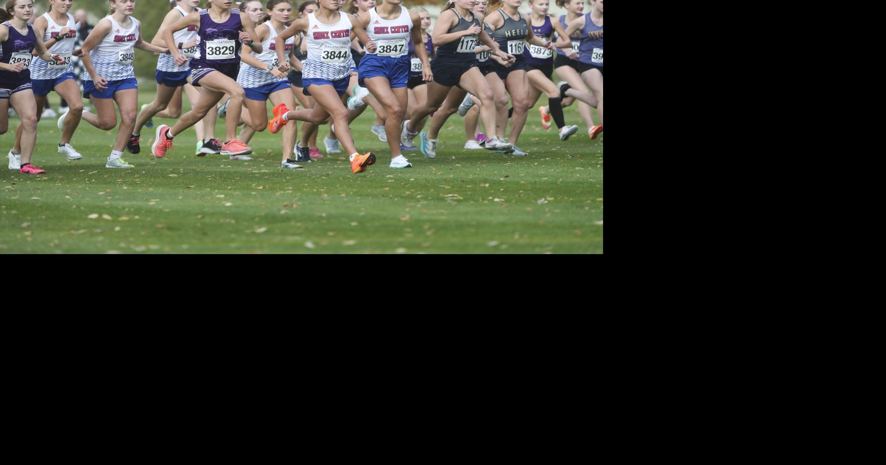 Cross Country: Class 3A State Qualifying Meet | Sports | nwestiowa.com