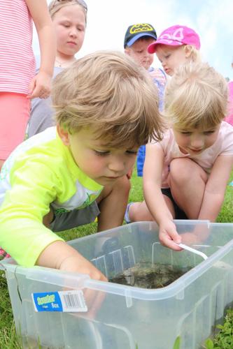 Nature Tots event focusing on plants | Discover | nwestiowa.com