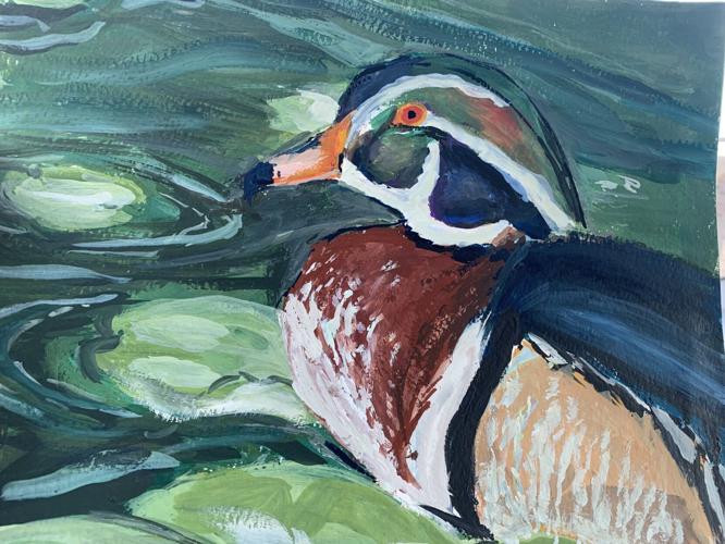 Sioux Center teen wins duck stamp art contest | Sioux Center News ...