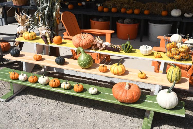Ag secretary Naig stops by Solsma’s Punkin Patch | Nwest Iowa Review ...