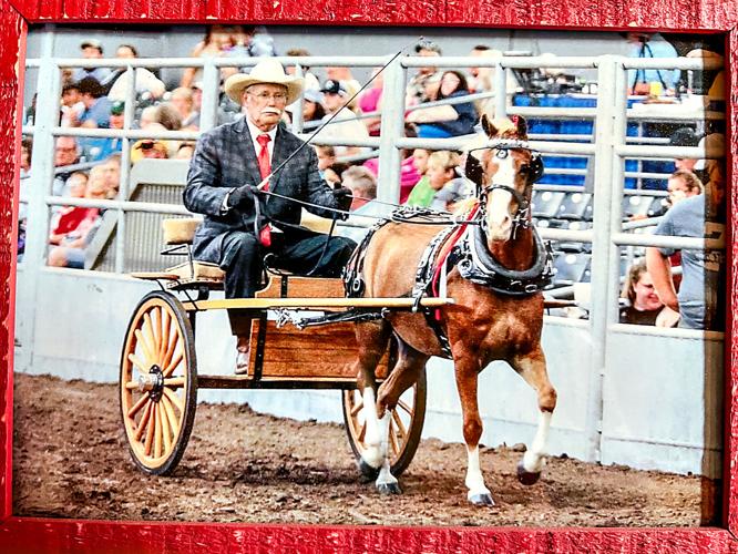 Sheldon man inducted into draft pony hall of fame | News | nwestiowa.com
