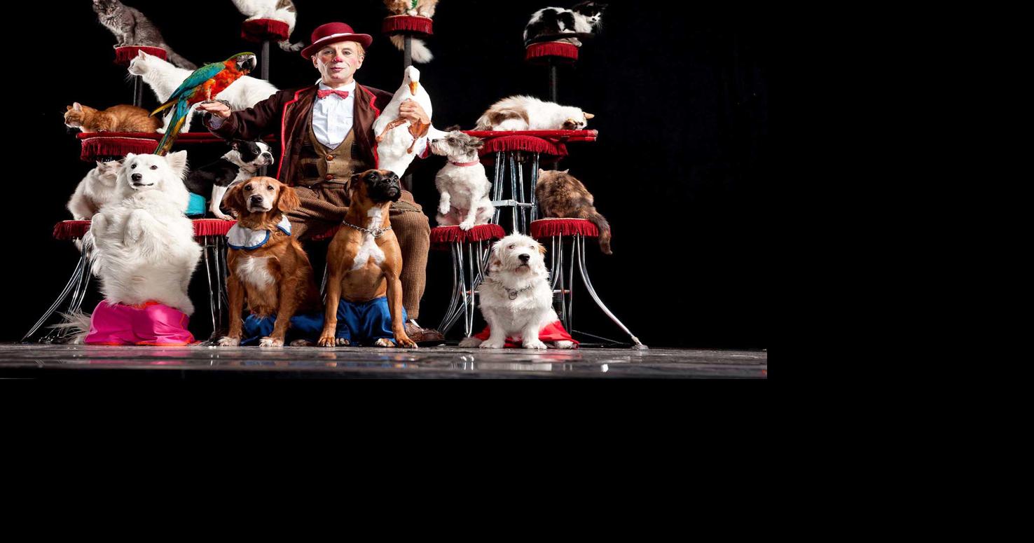 Circus of fun | Discover | nwestiowa.com