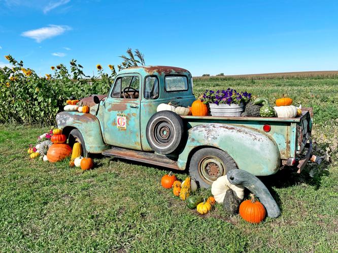 Pumpkin-o’clock | Discover | nwestiowa.com