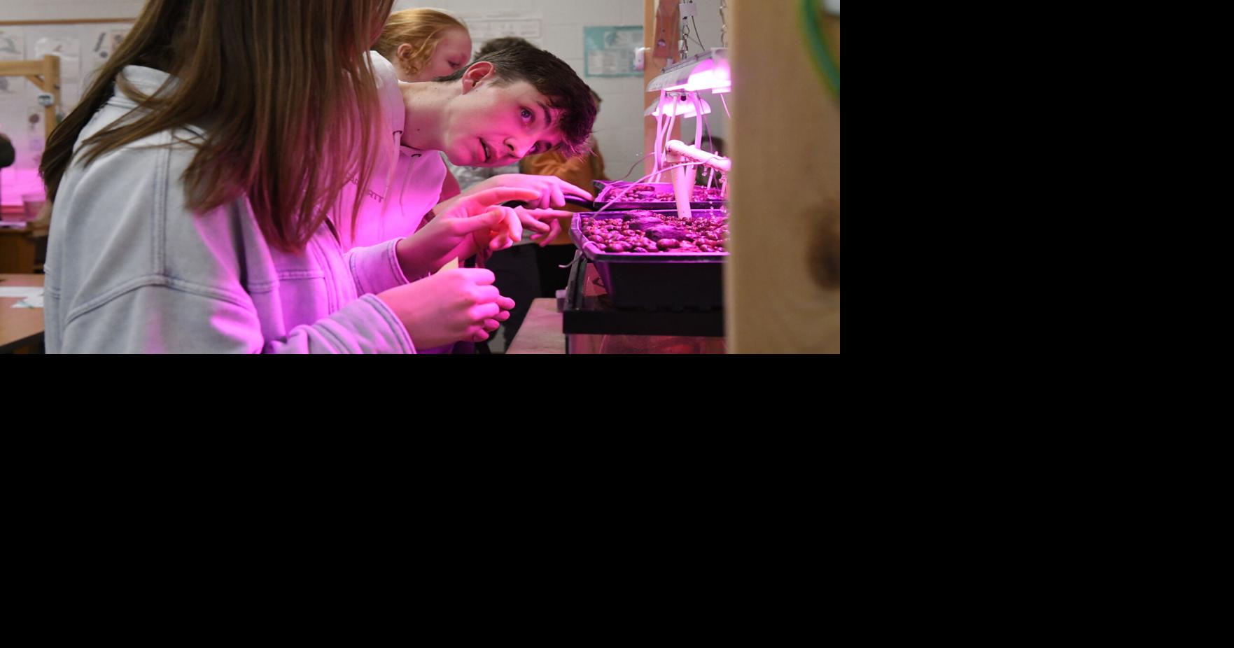 Learning plant care, problem solving, practicality of aquaponics ...