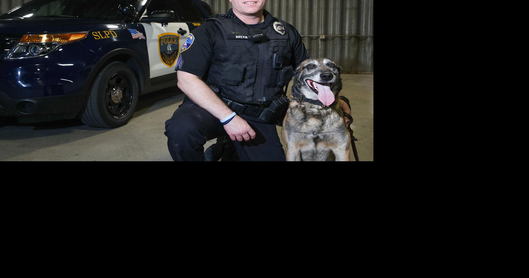 Seven for 7: Local Heroes - Shane Brevik and Cairo | People | nwestiowa.com