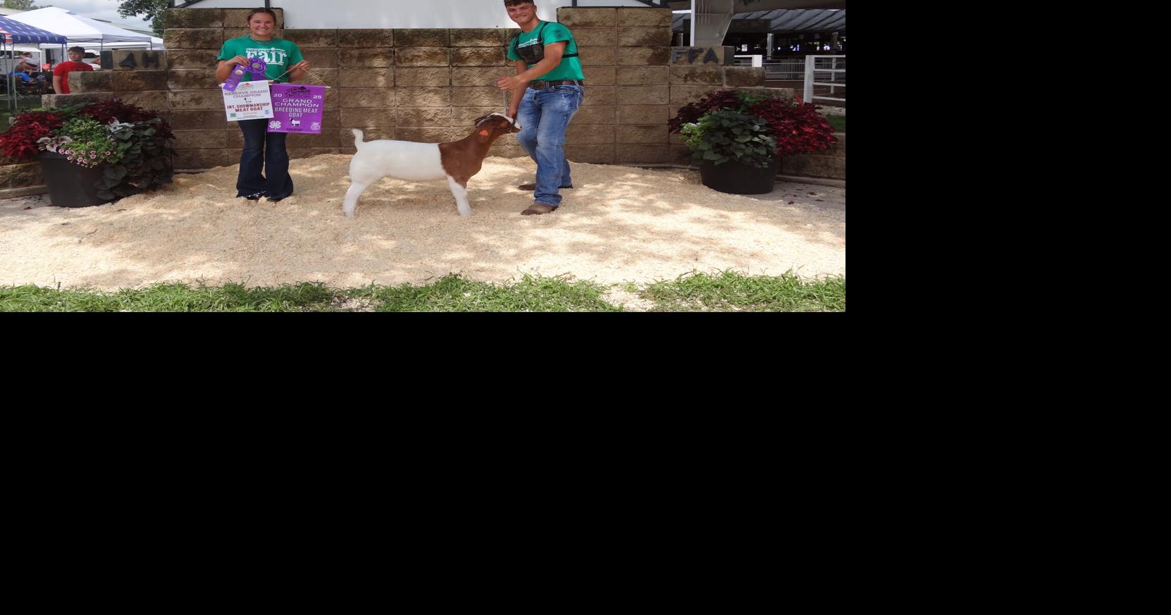2025 PCF - MEAT GOAT - Grand Champion Breeding Meat Goat, Reserve Grand ...