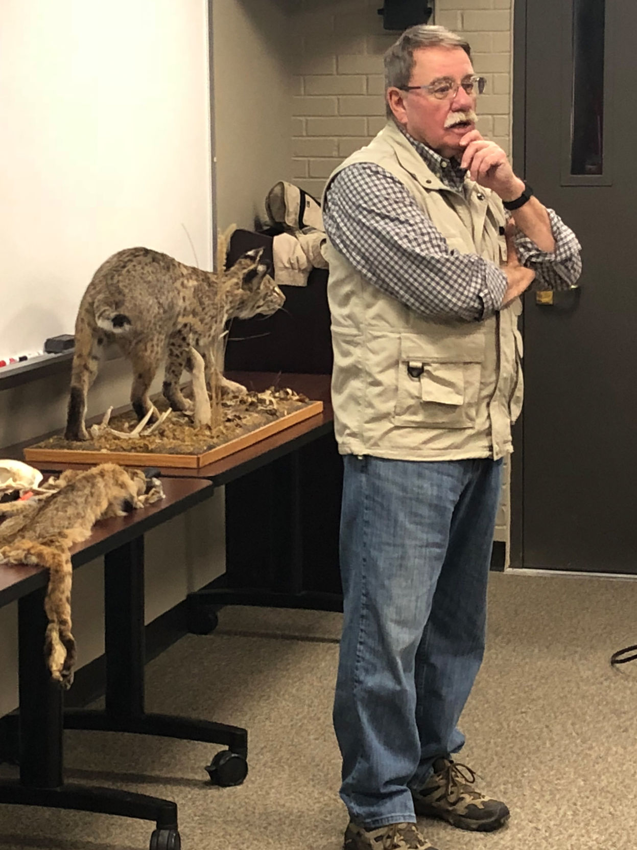 'Big Cats in Iowa' program on June 20 | News | nwestiowa.com