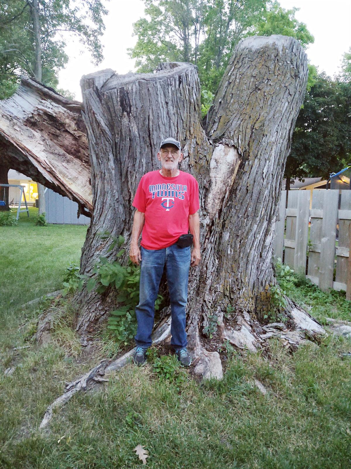 Take 5: Farewell old Sioux Center tree | Take5 | nwestiowa.com