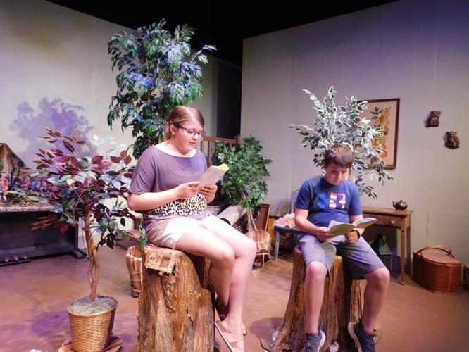 LCT Youth Theatre set for Ice Cream Days performance | Sentinel ...