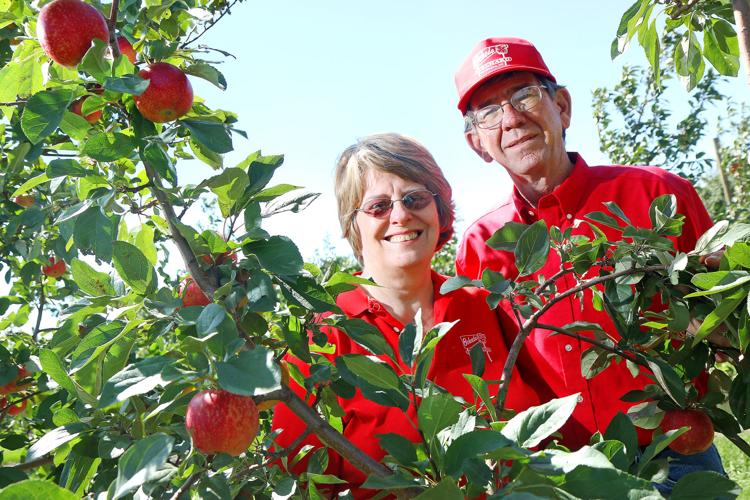 Apple of my eye | Discover | nwestiowa.com