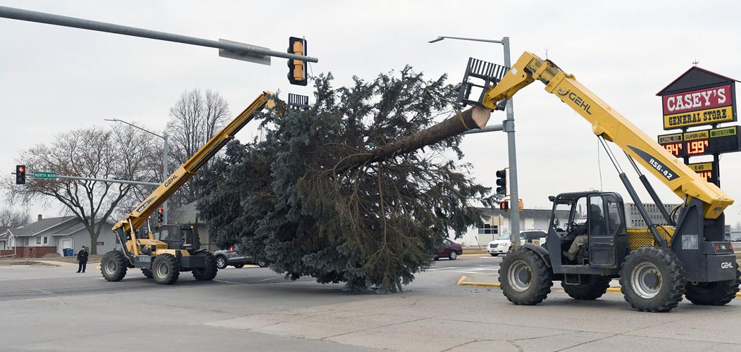 Christmas tree crosses Highway 75 | Sioux Center News | nwestiowa.com