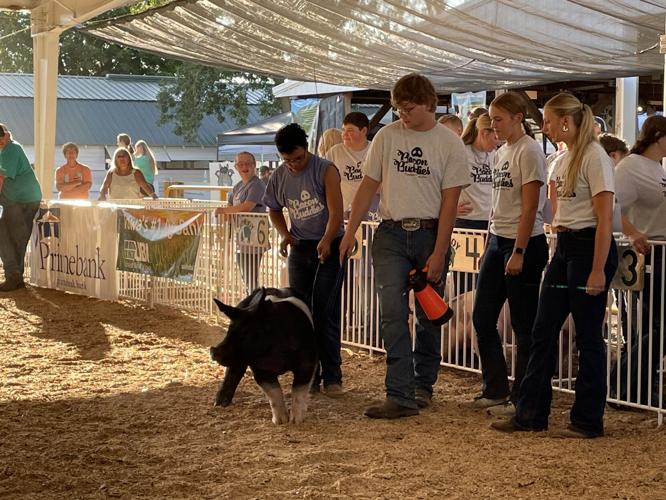 Bacon Buddies and Friends | Sentinel | nwestiowa.com