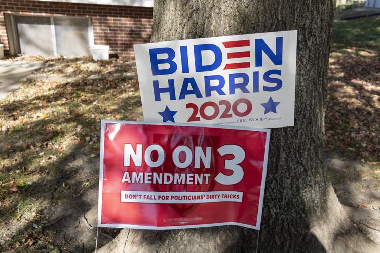 Students regret Amendment 3 vote due to misleading language | News ...