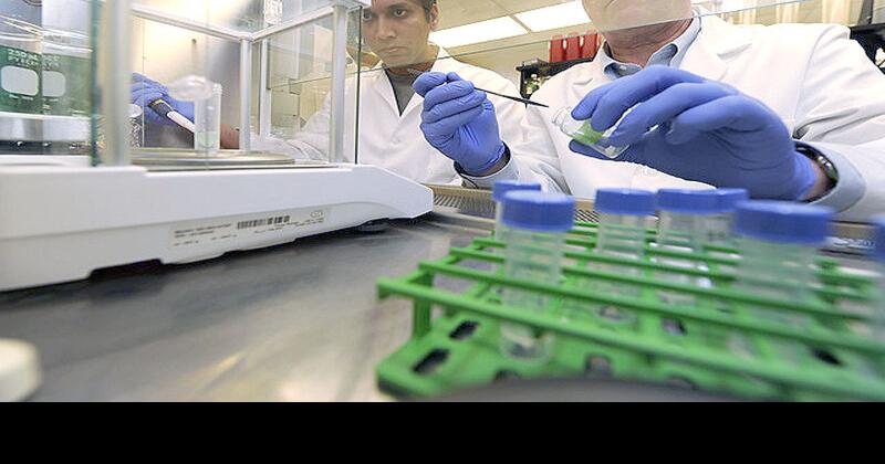 AU researchers nab Florida prize