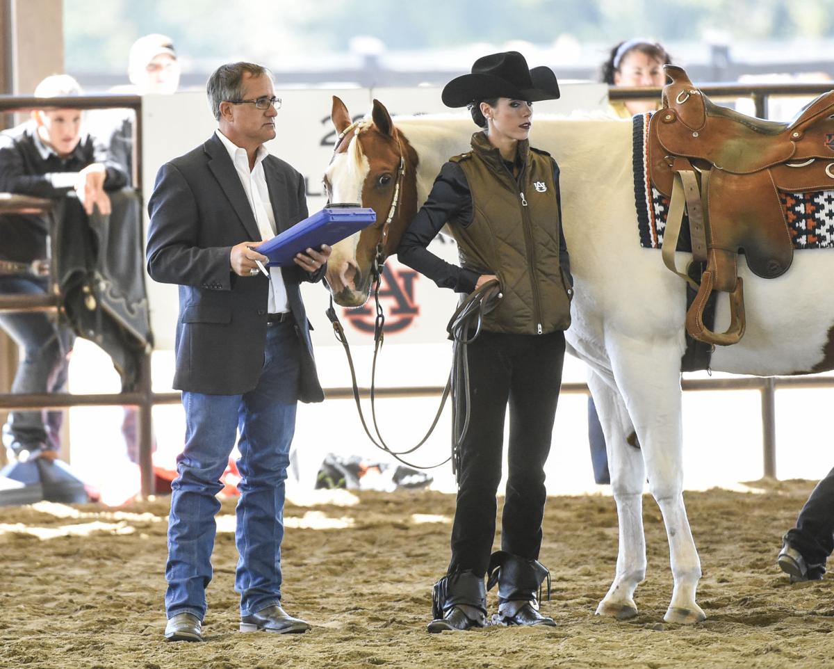 A beginner’s guide to equestrian, the horse-based sport that won Auburn ...