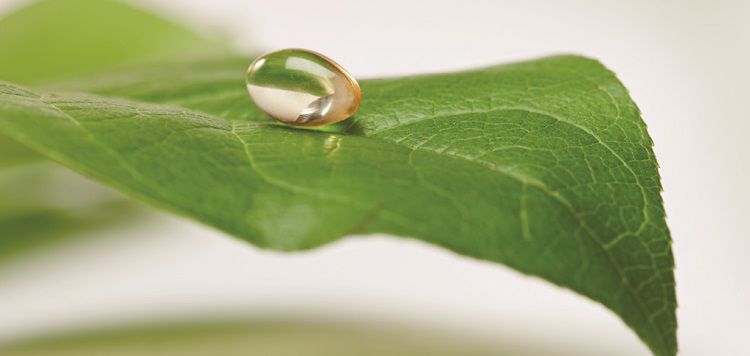 The bionic leaf can convert solar energy into liquid fuel