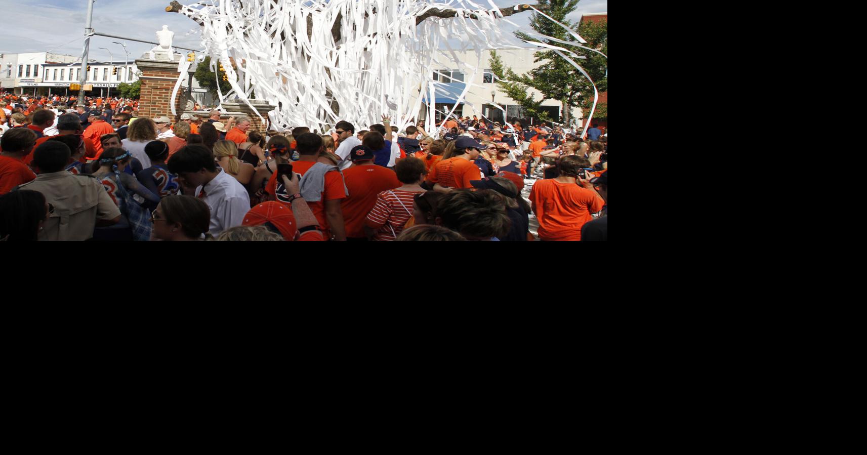 Fans allowed to roll Toomer's Oaks this season