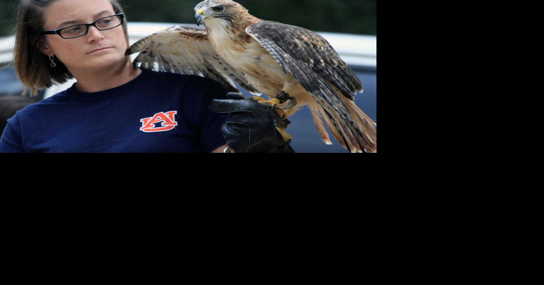 Auburn's Southeastern Raptor Center will be featured at Barbasol ...