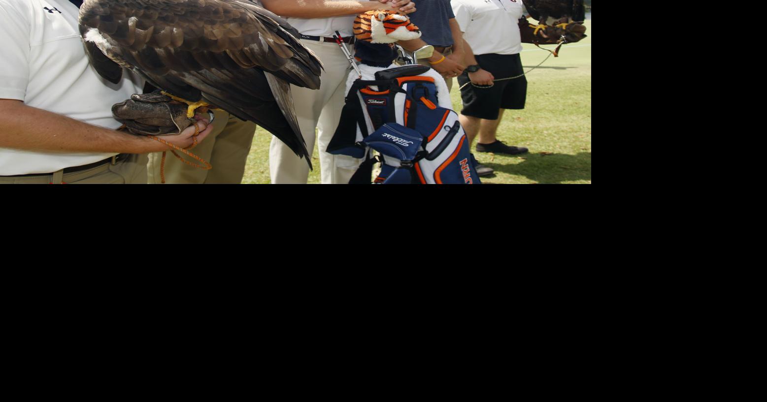 Southeastern Raptor Center showcases eagles, raptors ahead of Barbasol ...