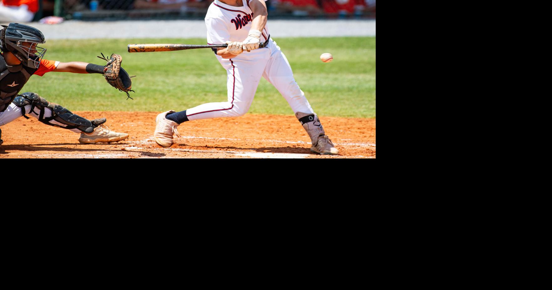 Auburn High, Lee-Scott baseball players on all-state teams