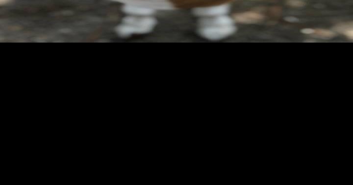 TURNER: Lake Martin: Goats, dogs and a big rock