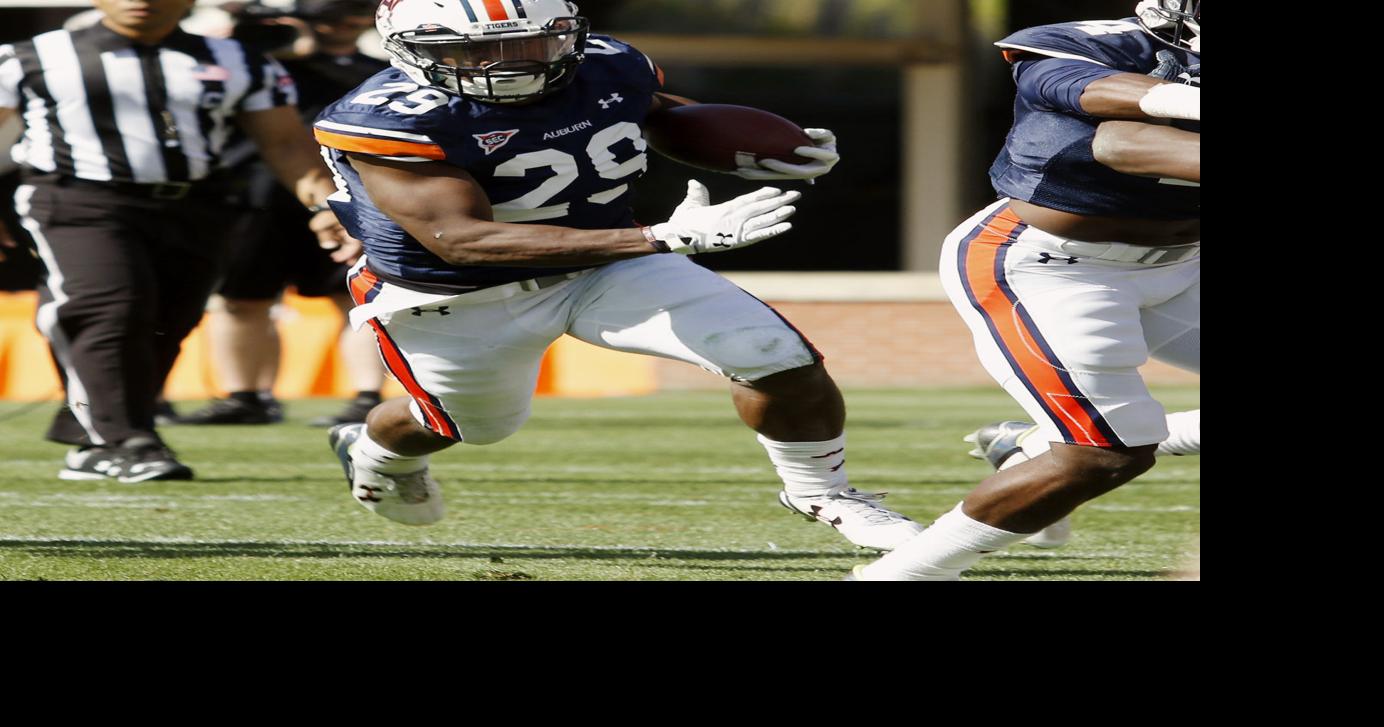 Report: Former Auburn RB Jovon Robinson lands at Valdosta State