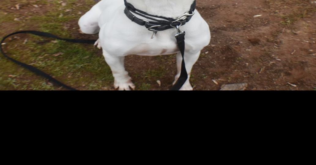 Kim Reeder: New additions with new beginnings