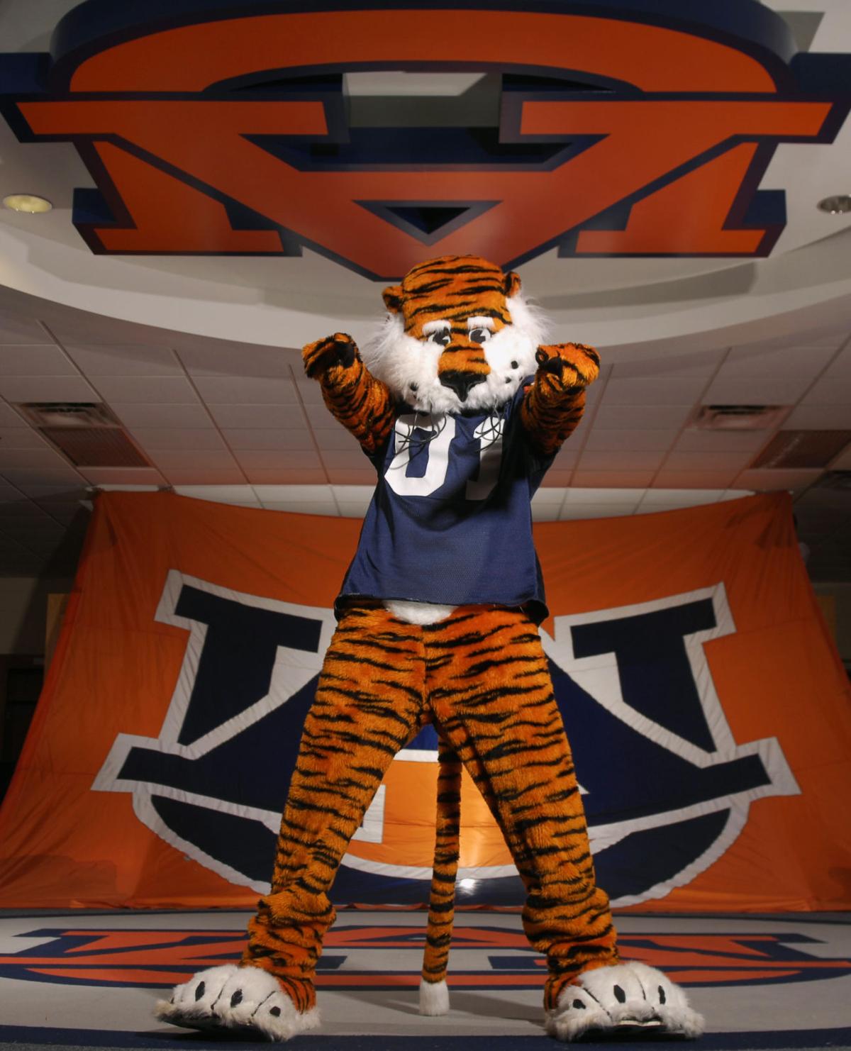 Aubie through time