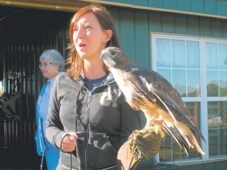 AU raptor center releases rehabilitated red-tailed hawks