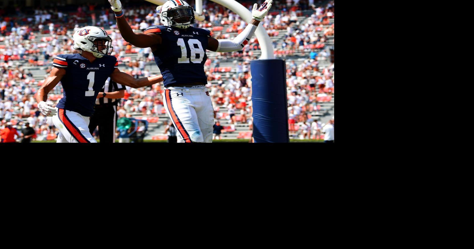 Auburn wide receiver Seth Williams declares for NFL Draft