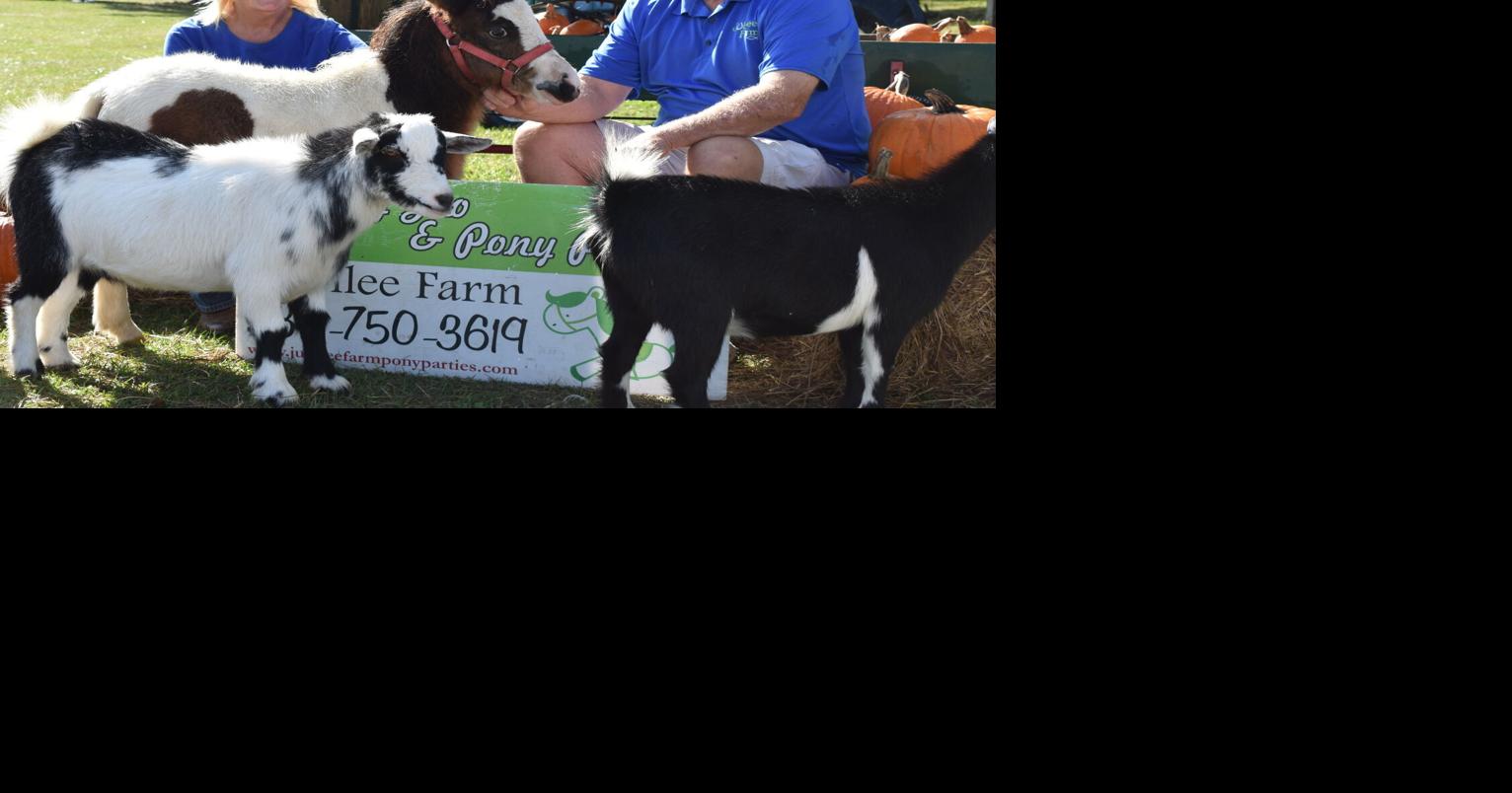 things to do this weekend near me