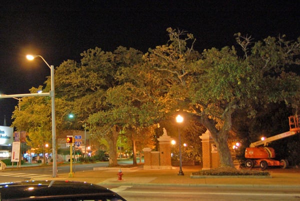 Auburn University determines next steps for Toomer's oaks: Fans asked ...