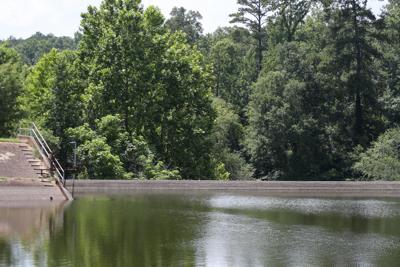 Algae bloom to blame for taste, odor of Auburn water