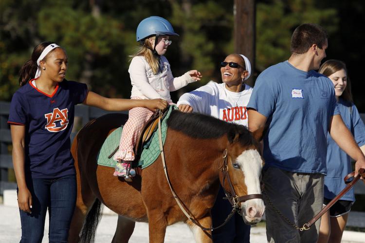 Storybook Farm: Where storybook characters come to life, and so do children