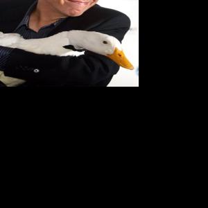 Aflac announces new voice for duck