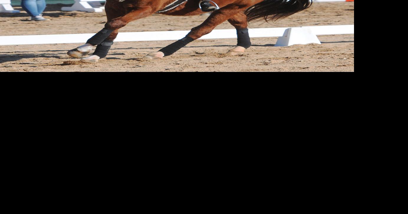 Elizabeth Benson to go down in history for Auburn Equestrian