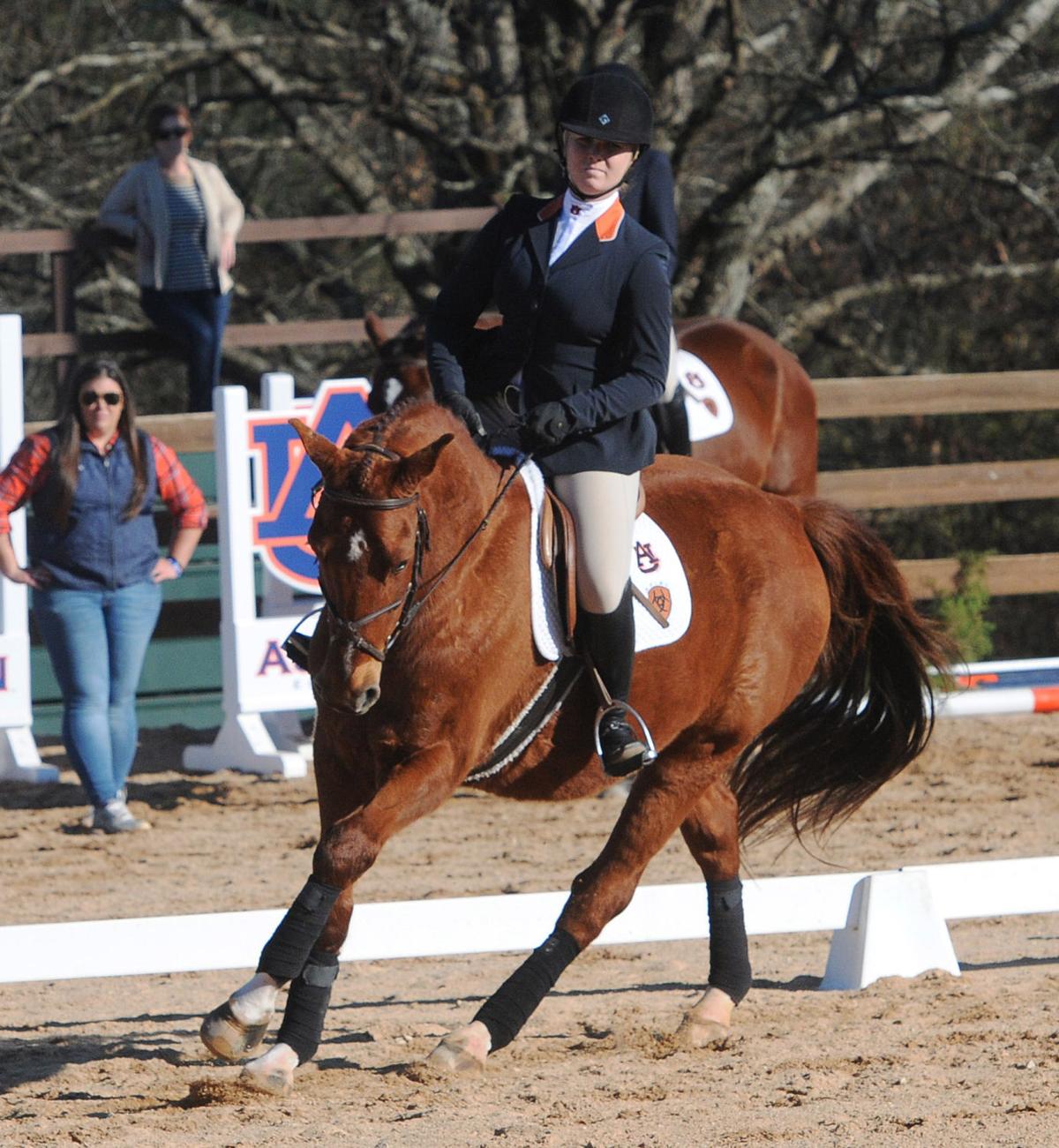 Auburn Equestrian has to not only worry about health of athletes, but ...