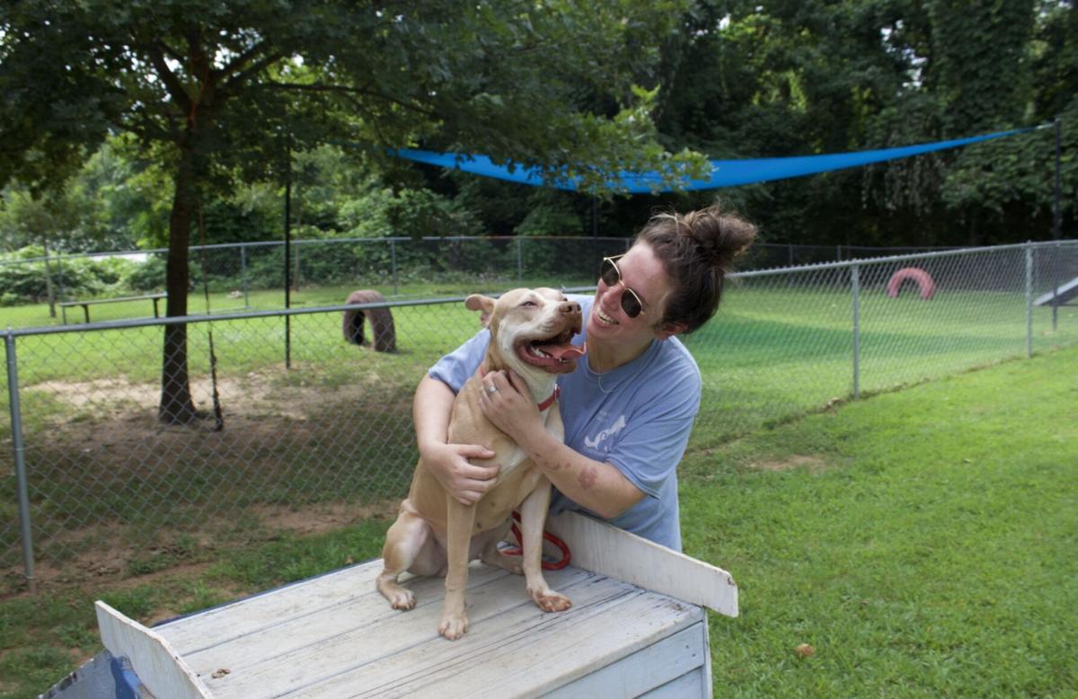 Morgan Allen and Audrey Salazar: Lee County Humane Society starts new ...